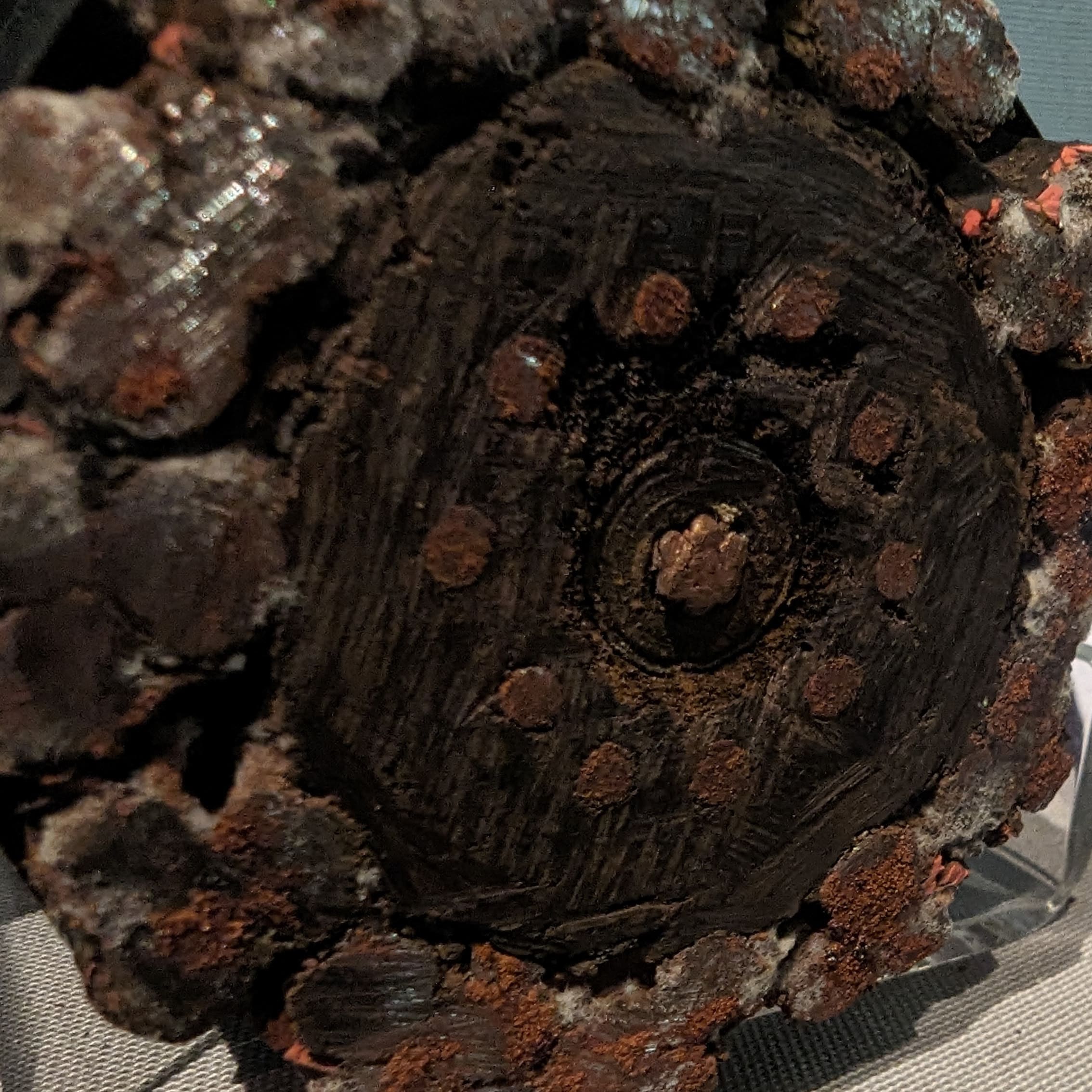Transatlantic Cable | Dr. Tom's Classroom